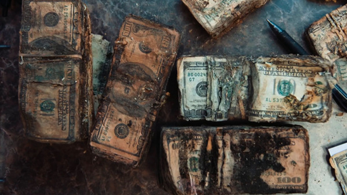Dolares rotos – Cotización de dolares deteriorados